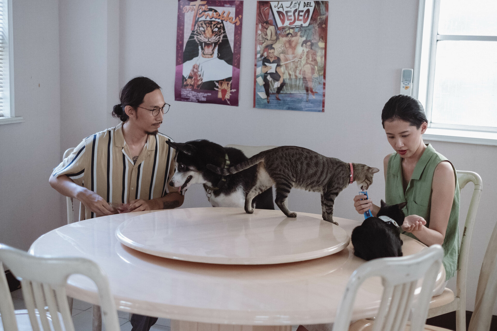 PET Whisperer 愛是不用學會動物溝通，就能被傳達的：邱承漢與家裡三個毛孩的對話練習 ／ Homework